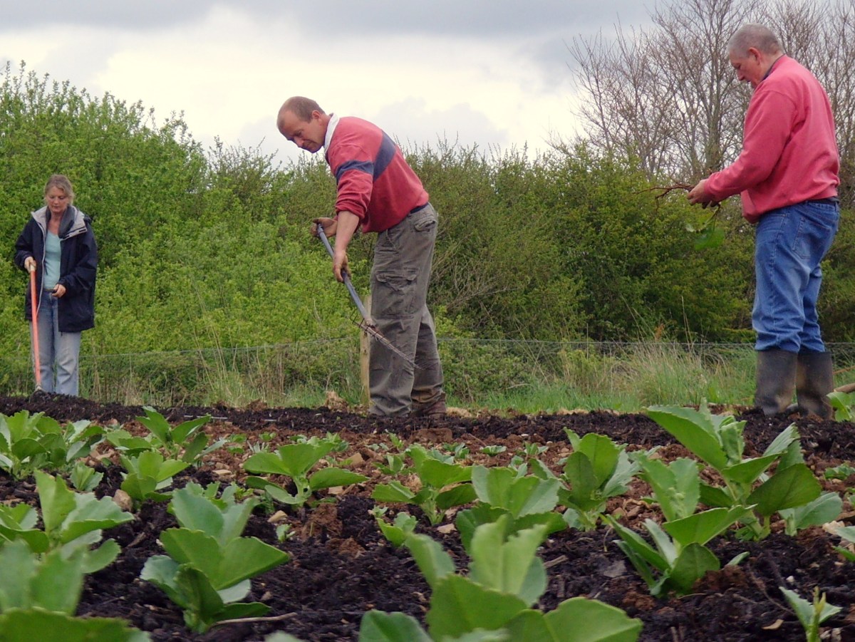Meet the new faces of real farming | Forked magazine